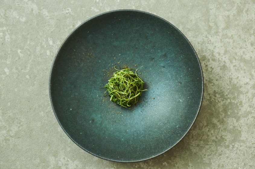 capi | SANTO DESIGN STUDIO